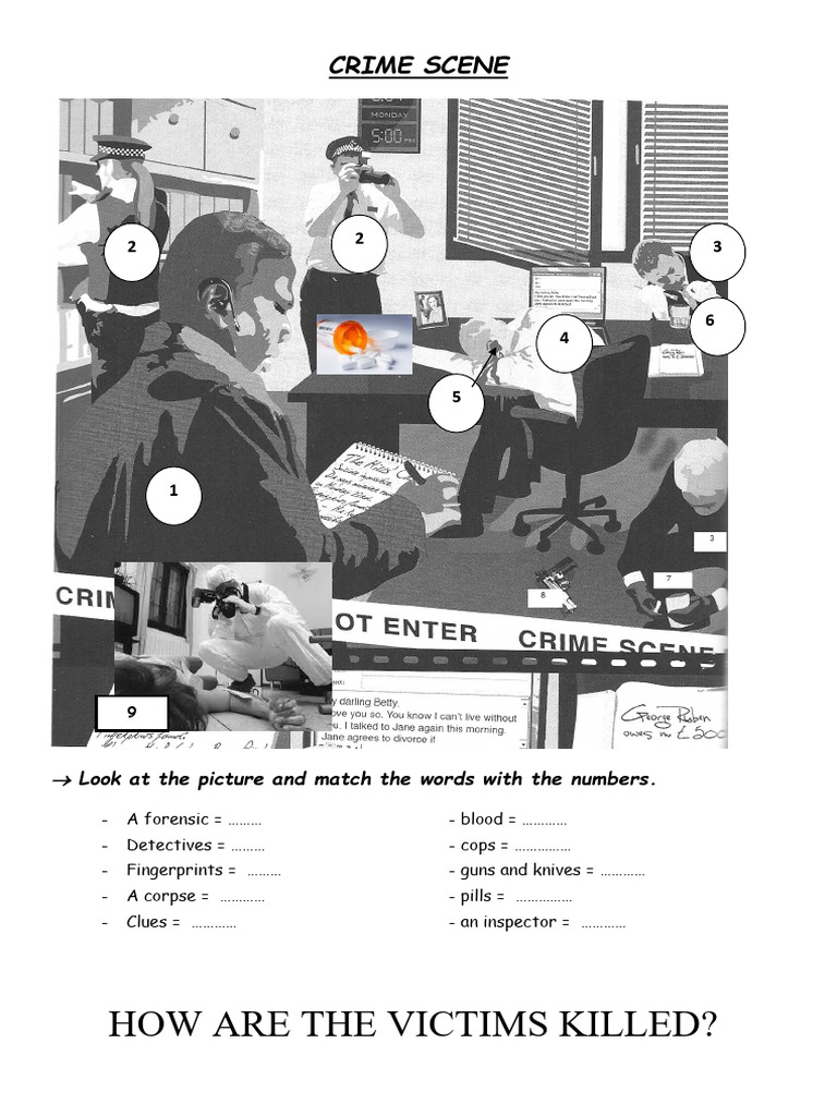 Crime Scene Vocabulary and Activities | PDF