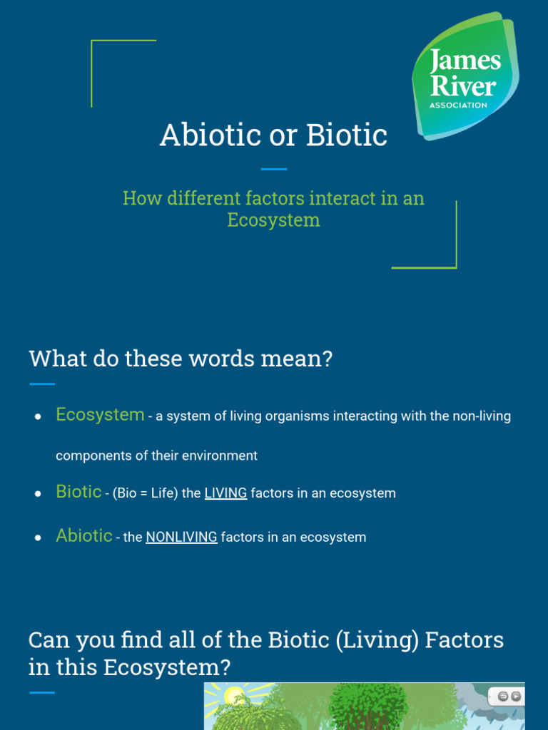 Abiotic or Biotic How Different Factors Interact in An Ecosystem | PDF