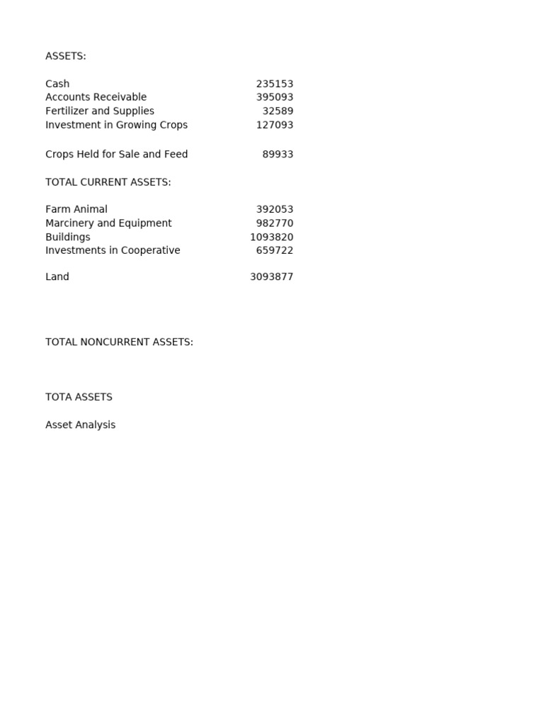Excels Slater farms#2, balance sheet ABRAHAM | PDF