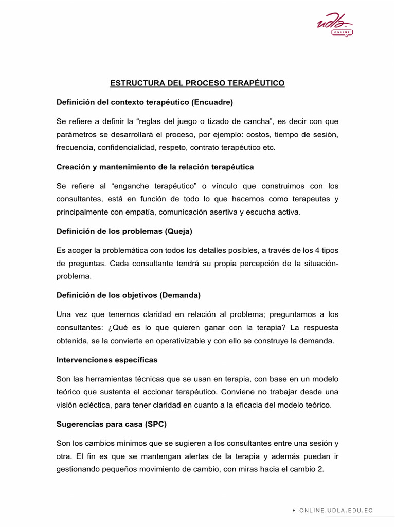 Proceso Terapéutico: Estructura y Evaluación | PDF | Psicoterapia ...