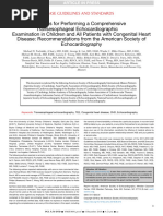 TTE TEE Report Template | PDF