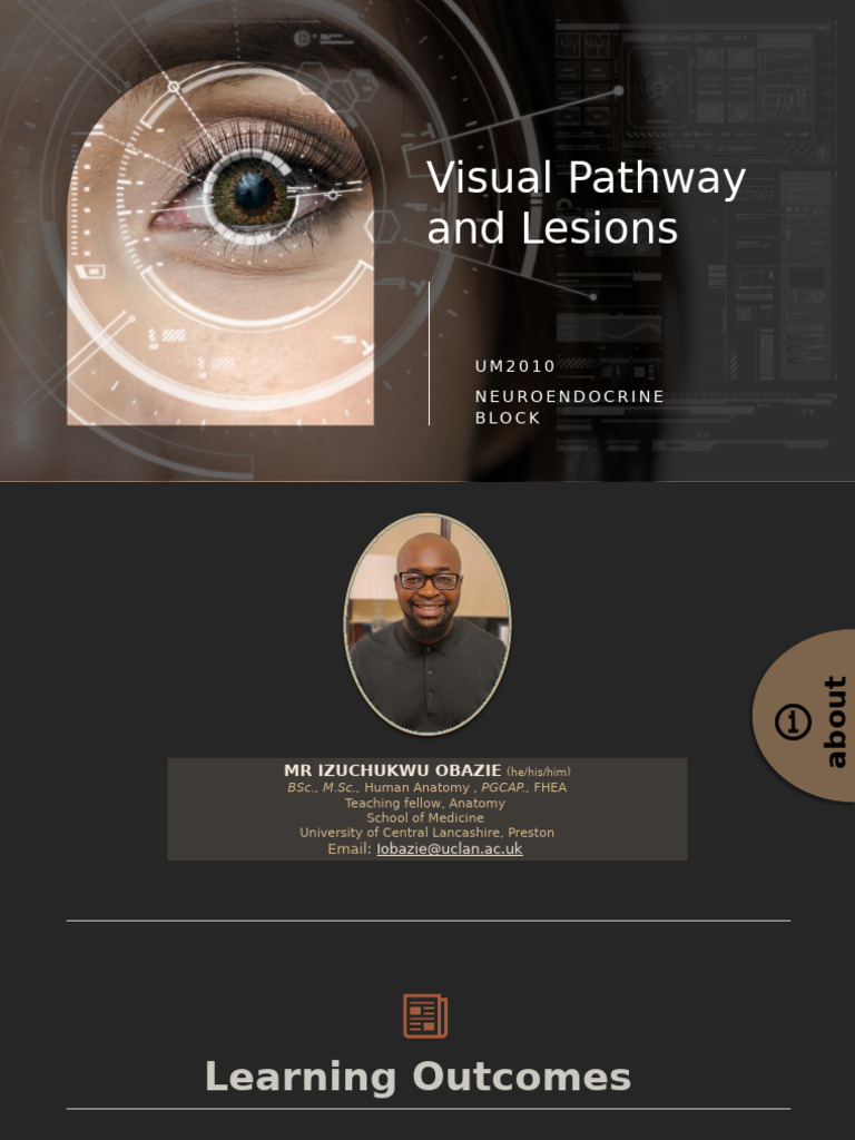 Visual Pathway and Lesions | PDF | Retina | Visual Cortex