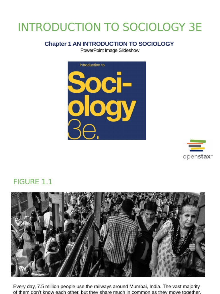 Introduction To Sociology Concepts Pdf Sociology Positivism