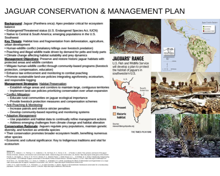 Jaguar Conservation & Management Plan Presentation | PDF | Conservation ...
