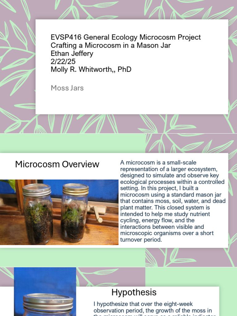 Mason Jar Microcosm Ecology Study | PDF | Ecosystem | Ecology