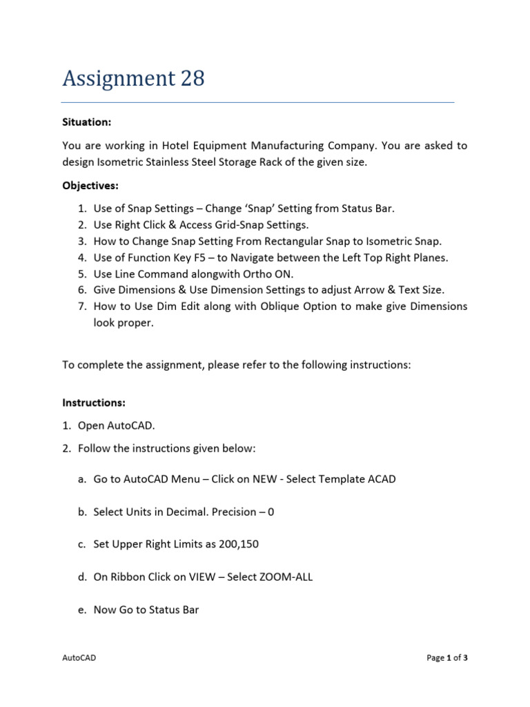 Assignment 28: Situation | PDF