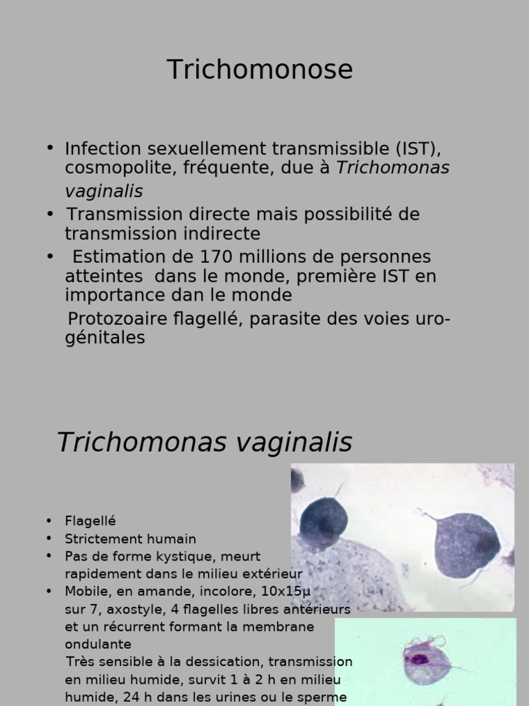 Trichomonose 2024 | PDF | Infection sexuellement transmissible | Prostate