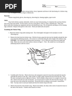 Chicken Wing Anatomy and Dissection Guide | PDF | Bone | Muscle