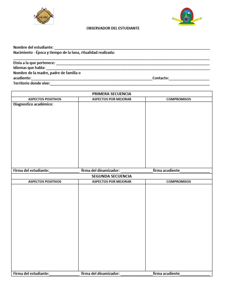 Formato Observador Del Estudiante | PDF