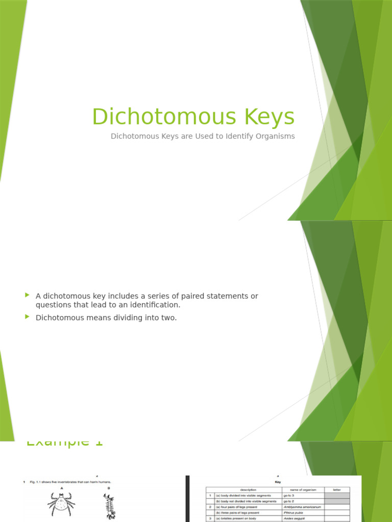Dichotomous Keys | PDF