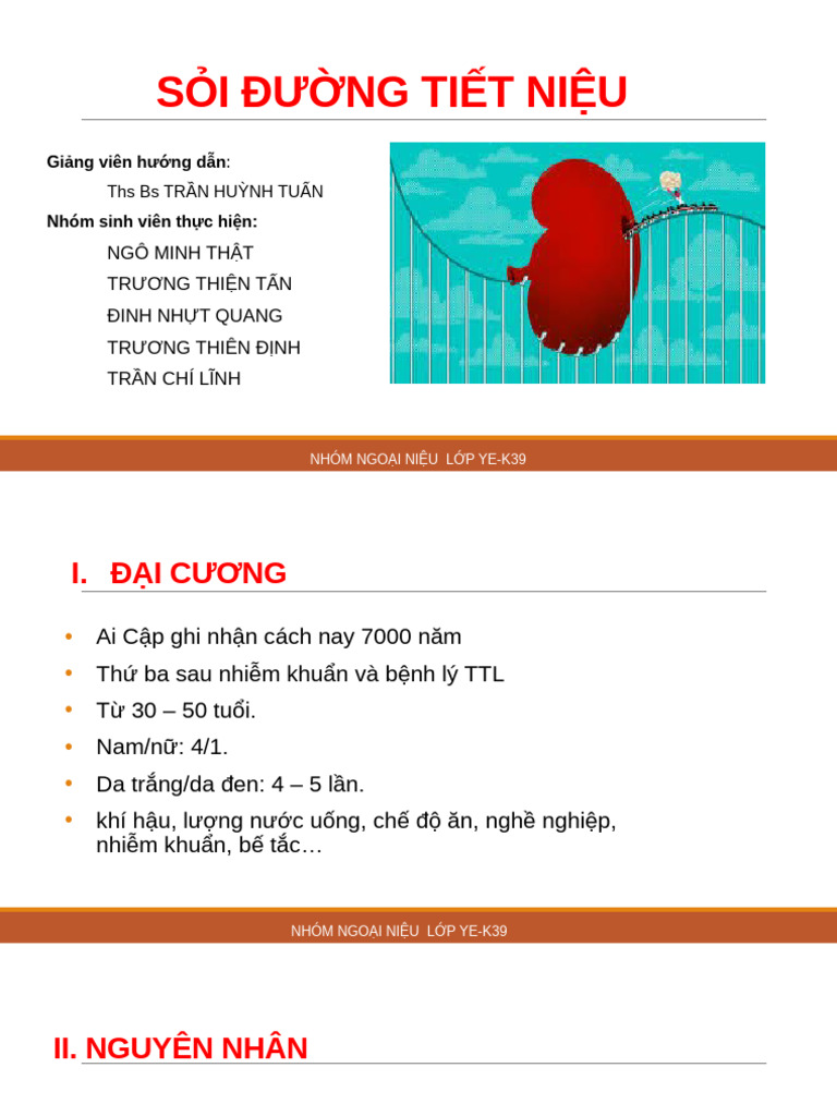 CĐ SỎI-ĐƯỜNG-TIẾT-NIỆU YE-K39 | PDF