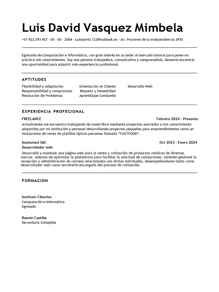 CV de Luis David Vasquez Mimbela | PDF