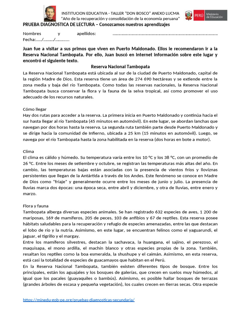 PRUEBA DIAGNOSTICA DE LECTURA Prof Dryden | PDF