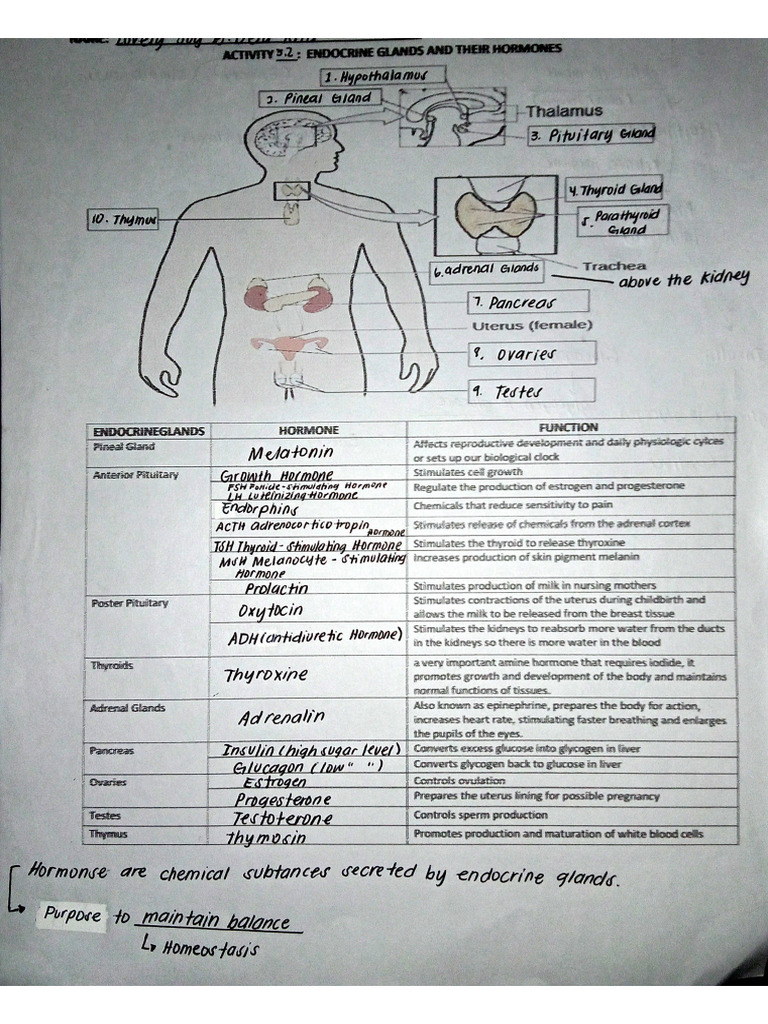 Science Pdf