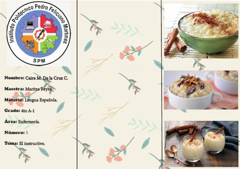 El Instructivo CC3 | PDF