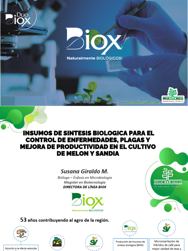 Presentacion Curcubitaceas Biox V4 250225 | PDF | Las bacterias | Bacilo
