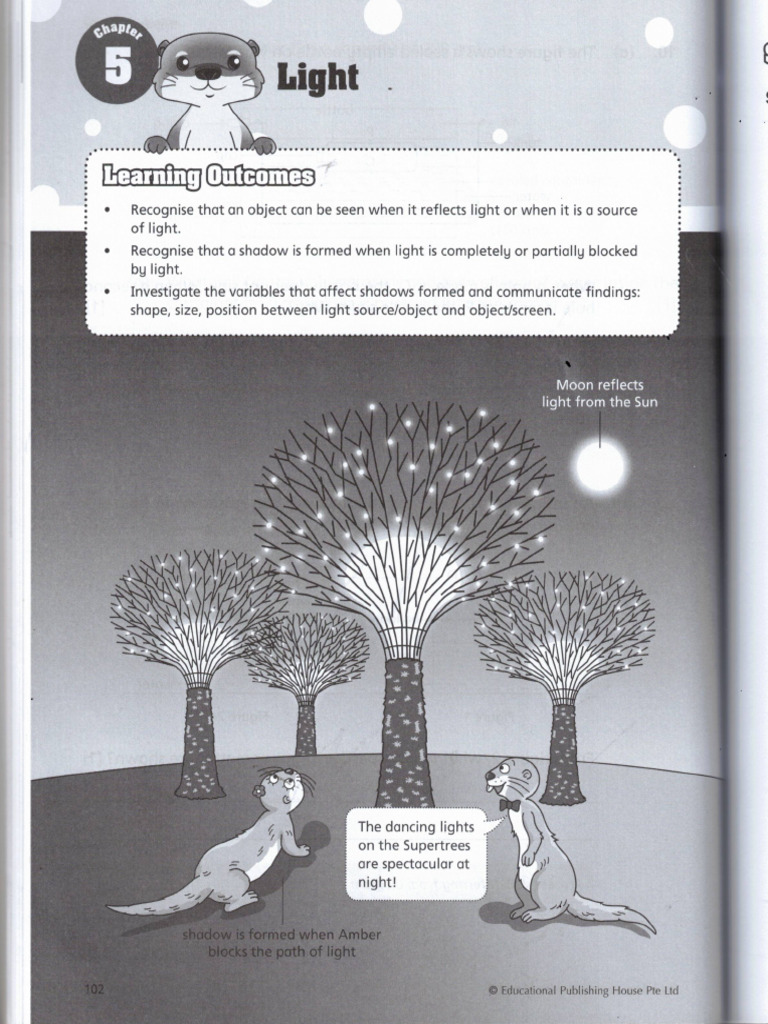 Unit 5 - Light - P4 - Science | PDF
