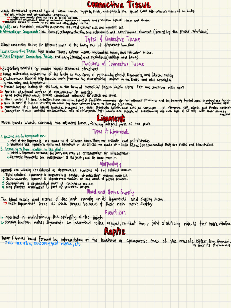 Understanding Connective Tissue Types | PDF | Connective Tissue | Extracellular Matrix