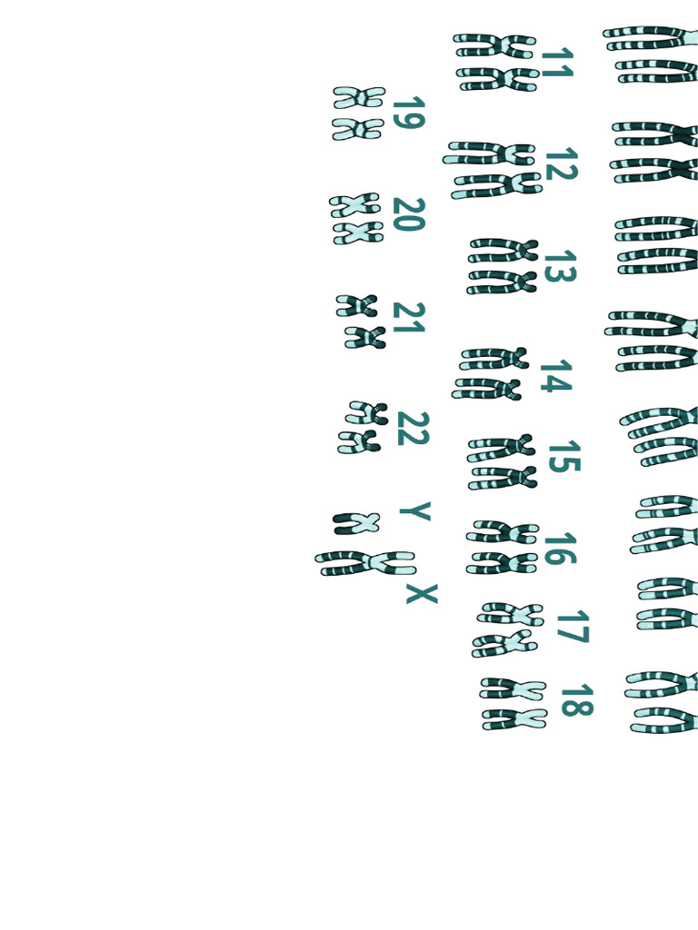 Cariotipo | PDF