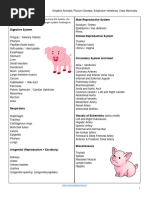 PiG Anatomy | PDF