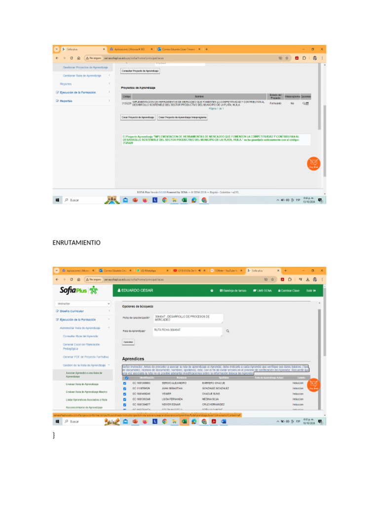 Pantallazo Proyecto Formulado | PDF