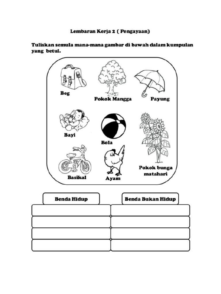BBM Sains | PDF