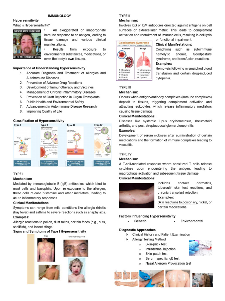 (Reviewer) Hypersensitivity - Antibodies - Immuno | PDF | Allergy | Antibody