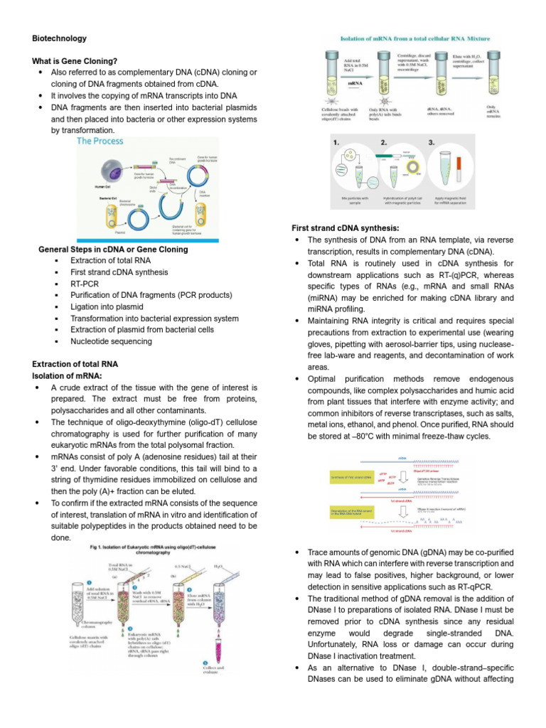 (Reviewer) Gene Cloning - Biotech | PDF | Complementary Dna | Dna