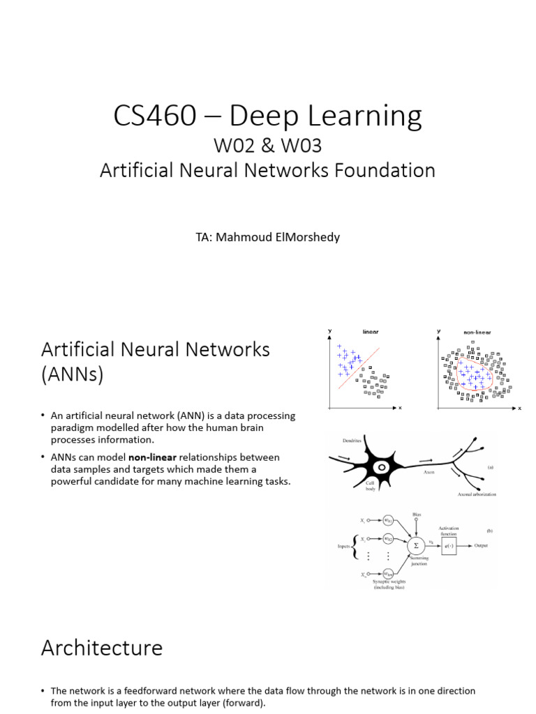CS460 - Deep Learning - W02 & W03 | PDF | Computational Neuroscience | Artificial Intelligence