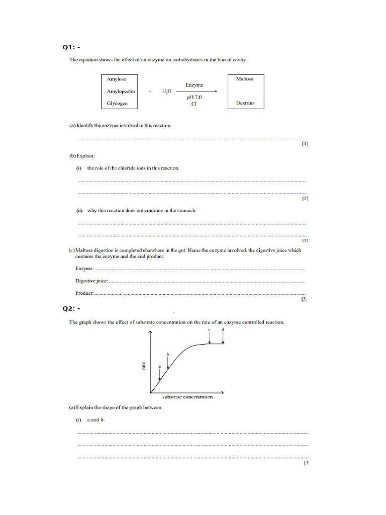 Enzyme Questions Student | PDF