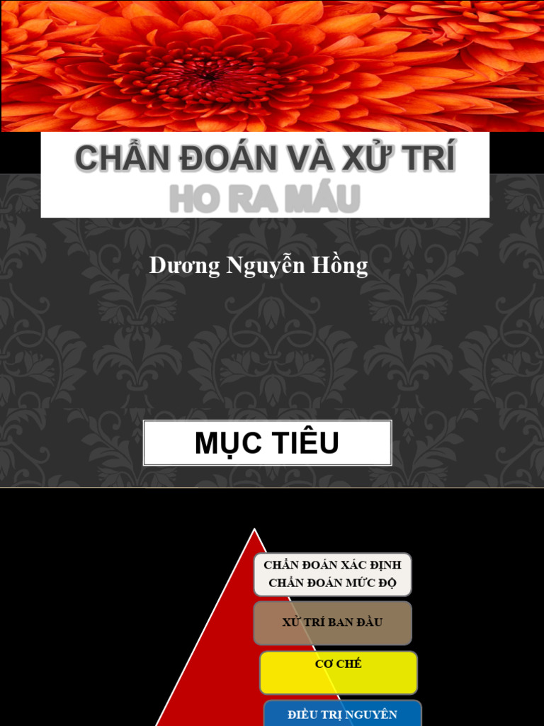 Ho Ra Máu | PDF