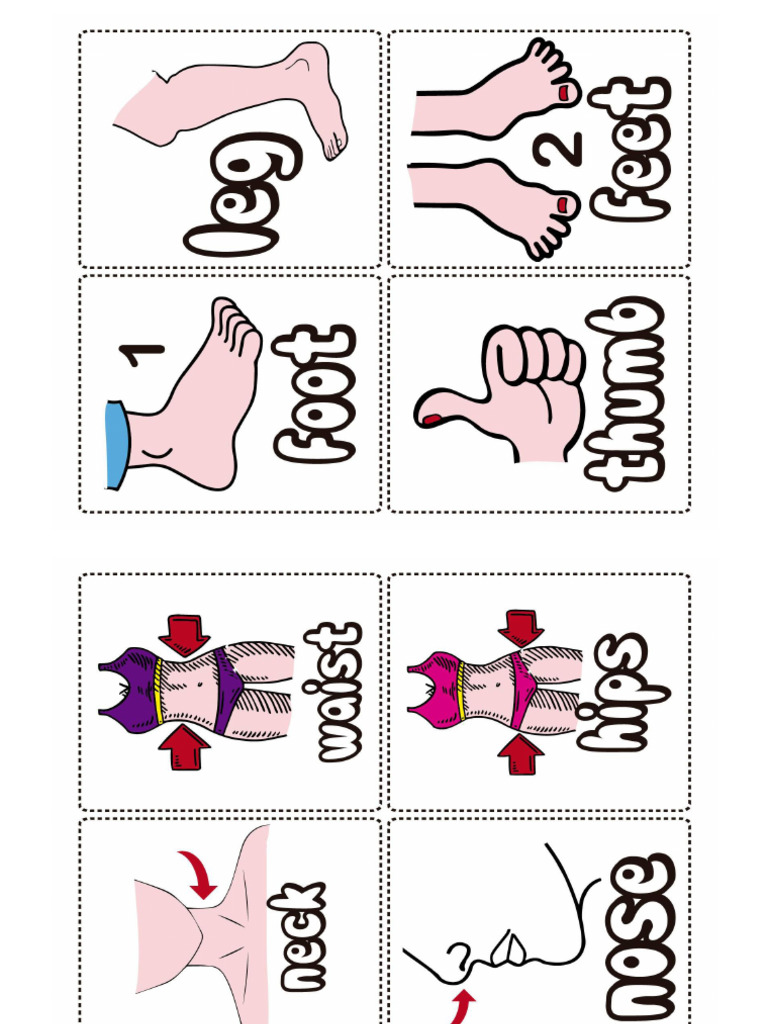 Bingo Parts Of The Body Pdf