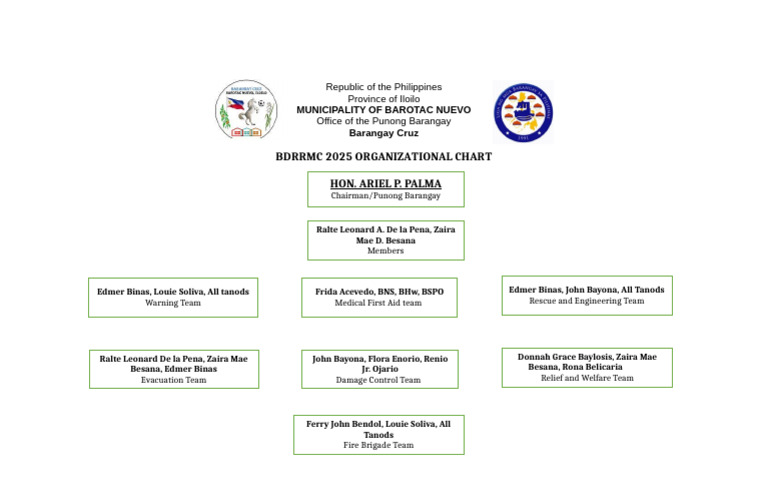 Organization Chart of BDRRMC | PDF