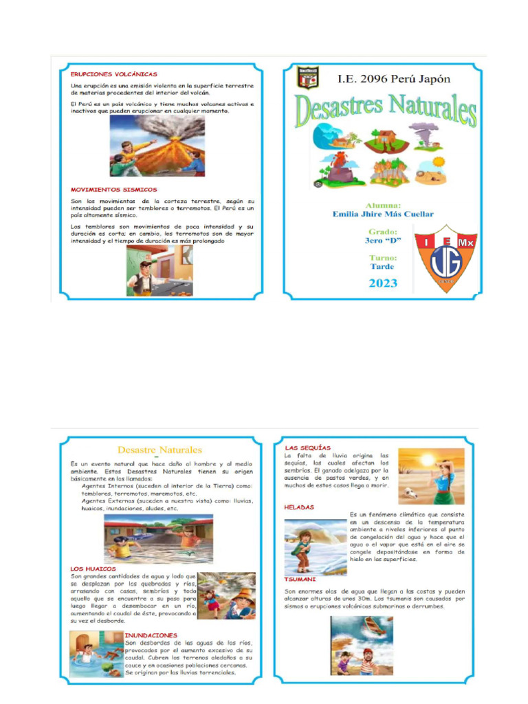 Diptico Desastres | PDF