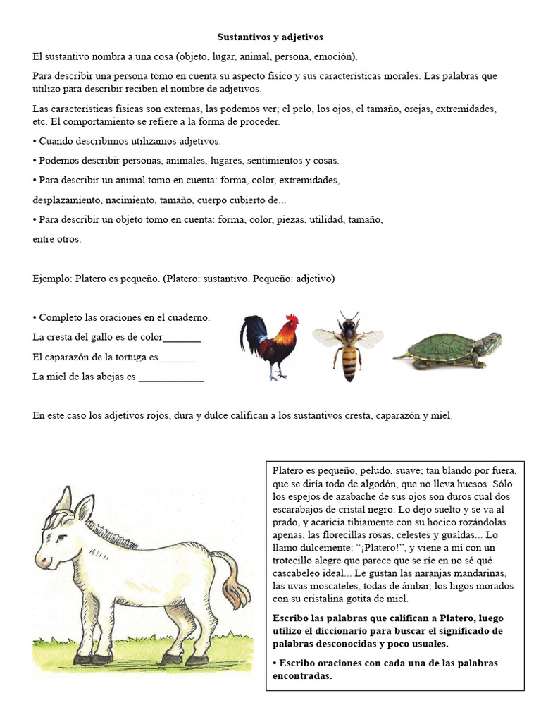Sustantivos y Adjetivos | PDF | Adjetivo