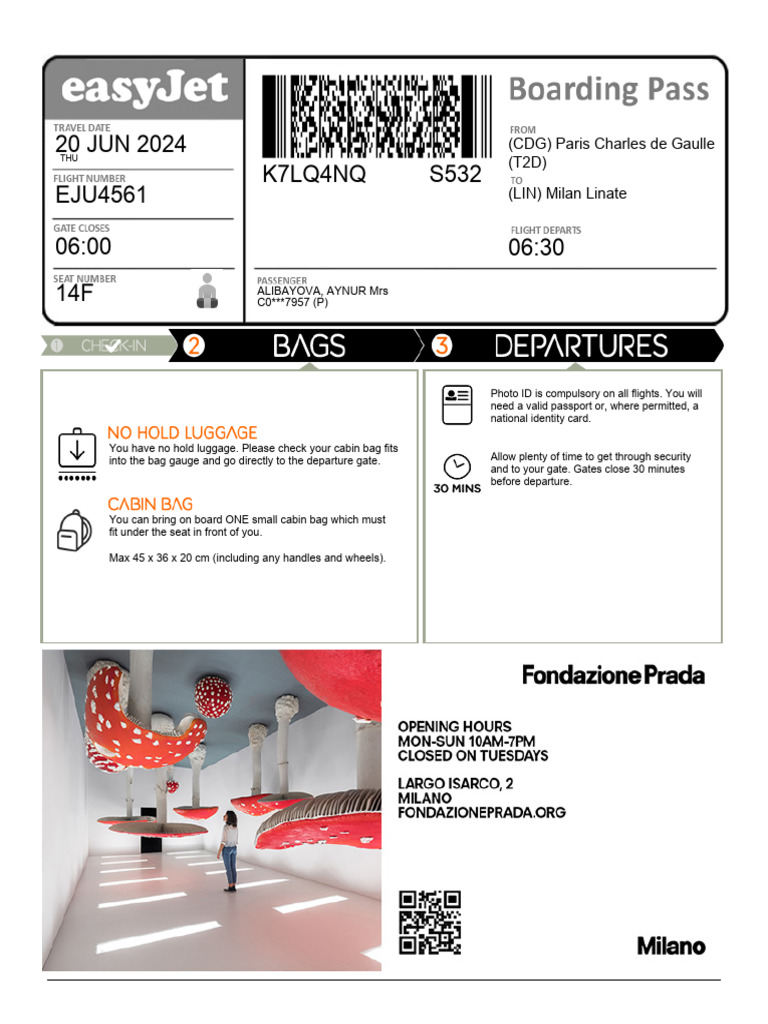 Boarding Pass | PDF | Identity Document | Access Control