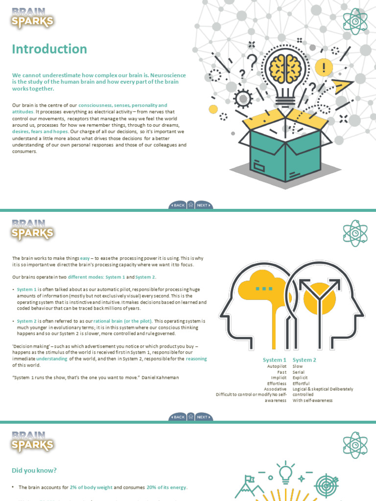 Brain Sparks Fundamentals Final | PDF | Memory | Brand