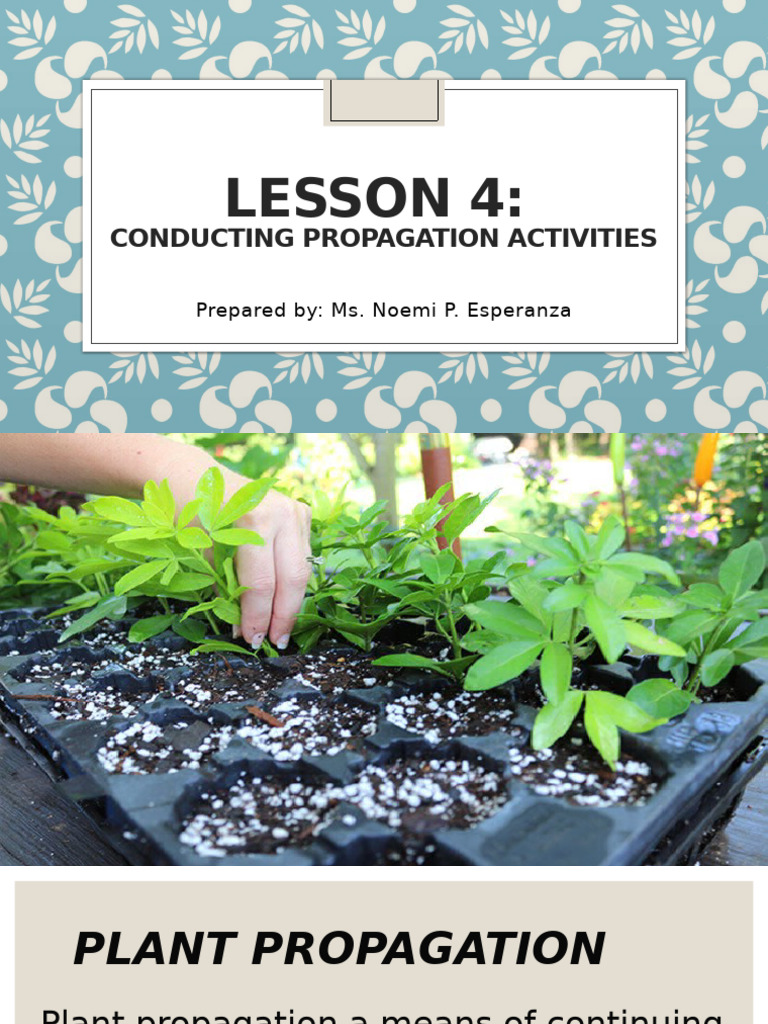 Lesson 4 Conducting Propagation Activities | PDF | Grafting | Plant ...