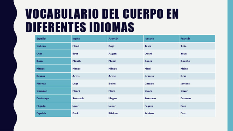 Vocabulario Del Cuerpo en Diferentes Idiomas | PDF