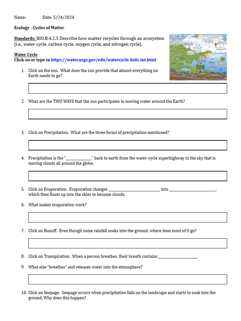 Understanding the Phosphorus Cycle | PDF | Water Cycle | Soil