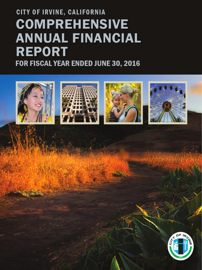 2016 Comprehensive Annual Financial Report | PDF | Audit | Expense