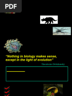 Notes On Evolution | PDF