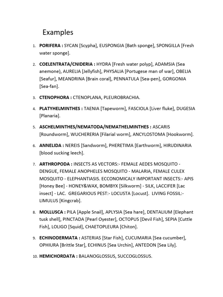 Animal Kingdom Organism Examples | PDF | Organisms | Zoology