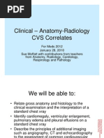 Level1 Report Template | PDF | Echocardiography | Heart Valve