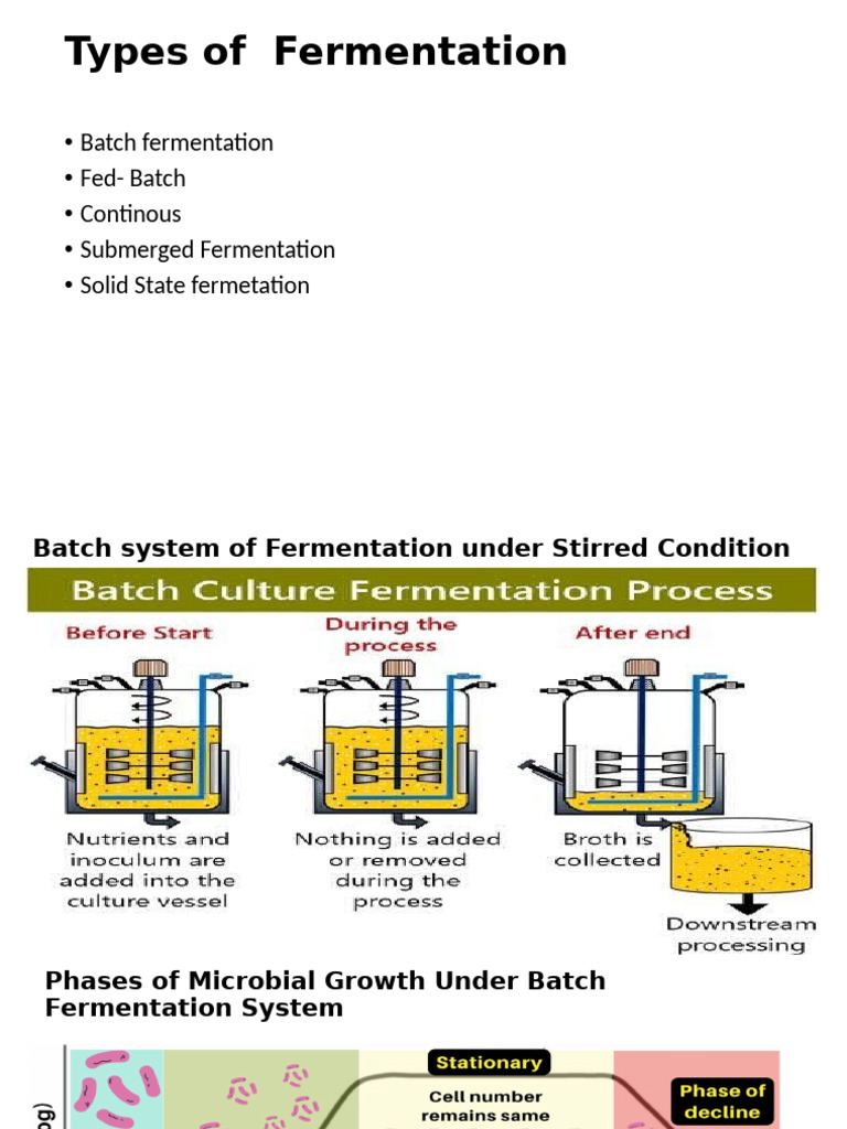 Types of Fermentation | PDF