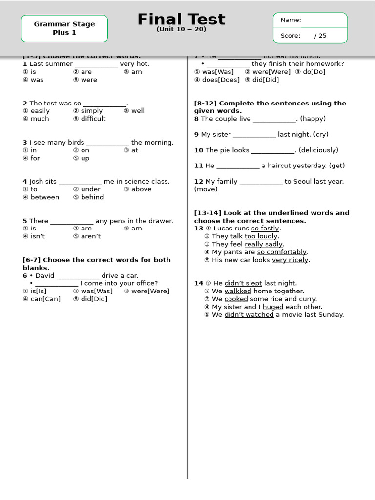 Grammar Stage Plus 1 - Final | PDF