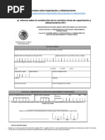 DC1 STPS Formato Word Editable | PDF