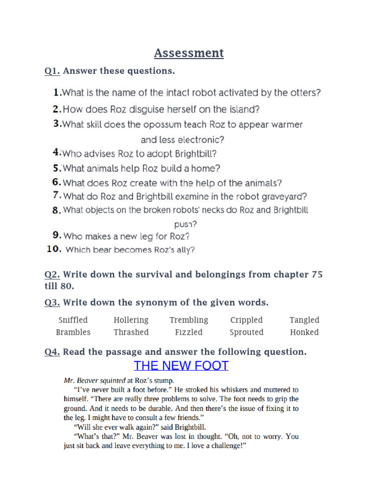 English Assessment | PDF