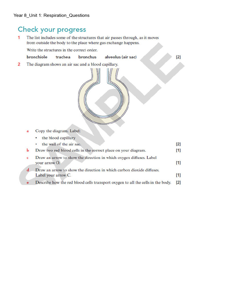 Unit 1 - Respiration - Questions | PDF