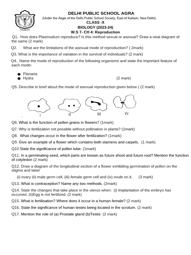 Grade 10 Bio WT3Recap W.S | PDF